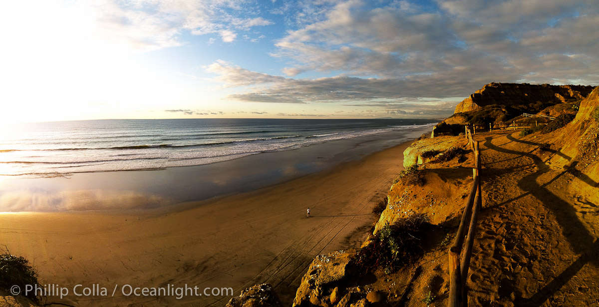 Torrey Pines State Reserve Running Photos