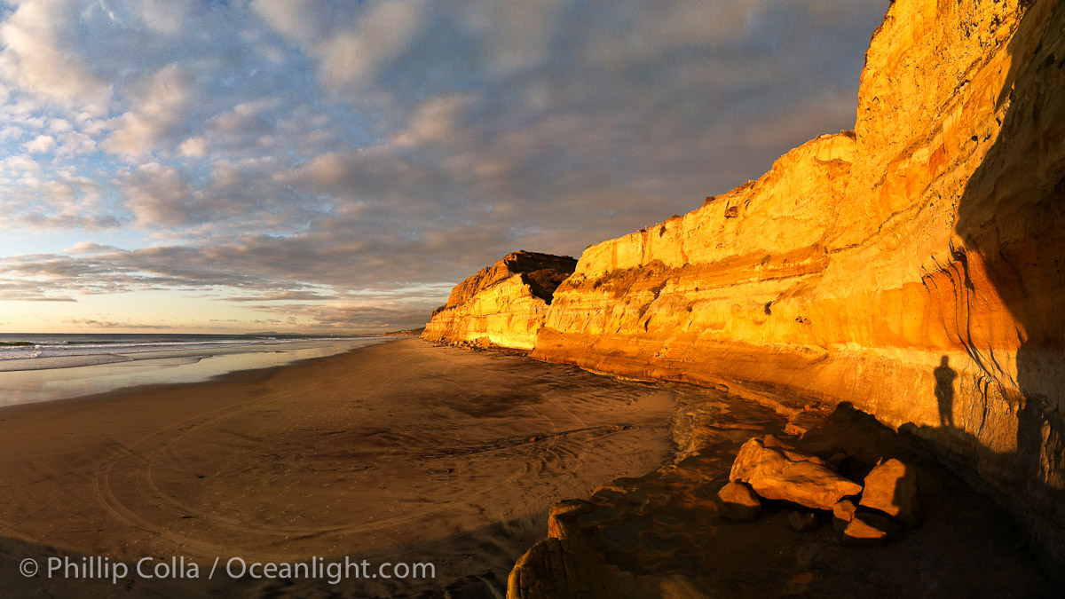 Torrey Pines State Reserve Running Photos