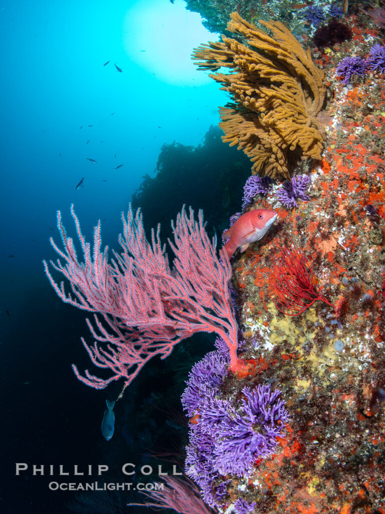Natural History Photography – My Favorite Photos of 2023 – Natural ...