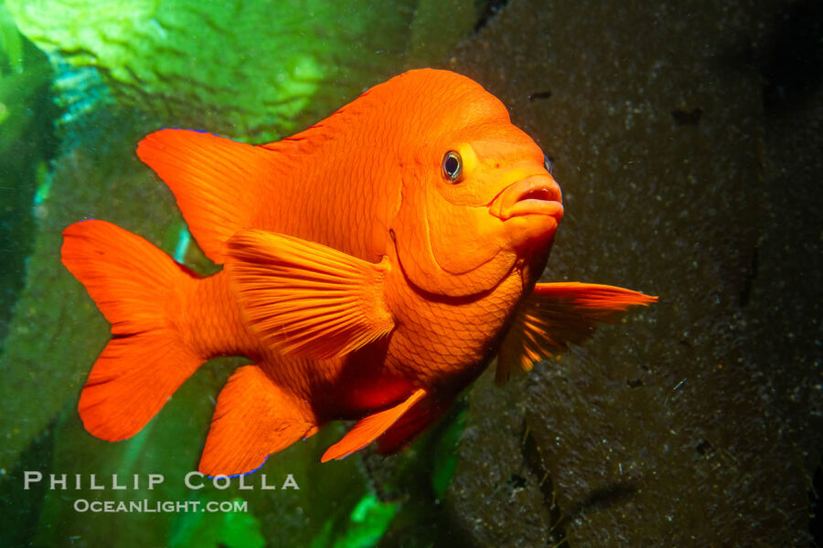 Natural History Photography – My Favorite Photos of 2024 – Natural ...
