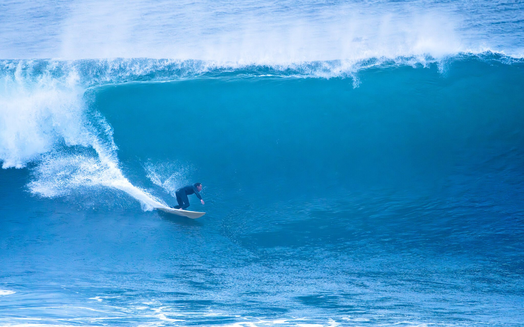 La Jolla Cove Big Surf December 29, 2023 – Natural History Photography Blog