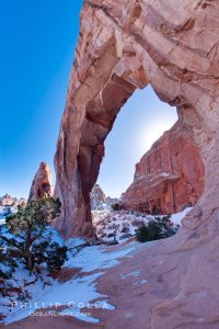 Arches – Natural History Photography Blog