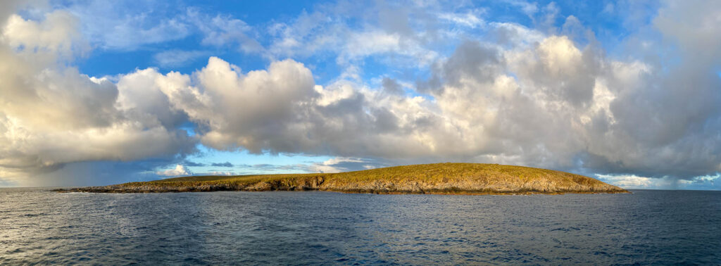South Australia Marine Life Sampler, a Dive Trip on the M/V Rodney Fox ...