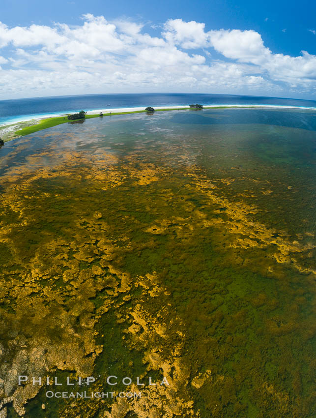 Aerial view of the Lagoon inside Clipperton Island, France, #32865