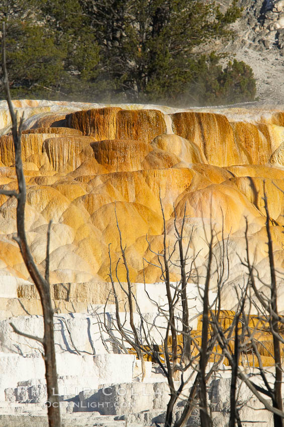 Mammoth Hot Springs Photos, Stock Photography of Mammoth Hot Springs ...