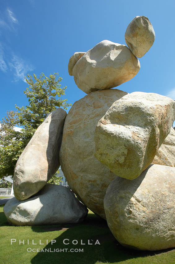 Bear, University of California San Diego, La Jolla, #21247