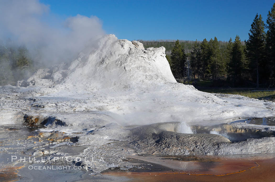 Tortoise Shell Spring and Castle Geyser, Upper Geyser Basin ...