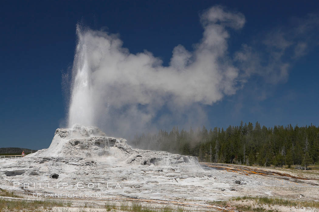 Castle Geyser, Upper Geyser Basin, Yellowstone National Park, Wyoming