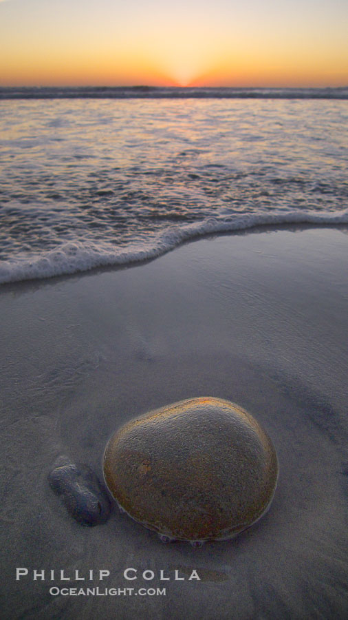 Photo of Cobblestone lies on the sand at the ocean's edge, sunset ...