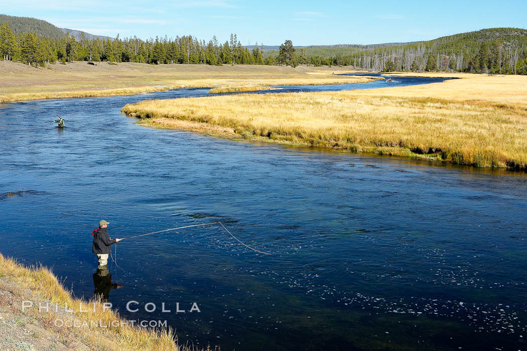 Fly fisherman wading in the Madison River, Yellowstone National Park ...