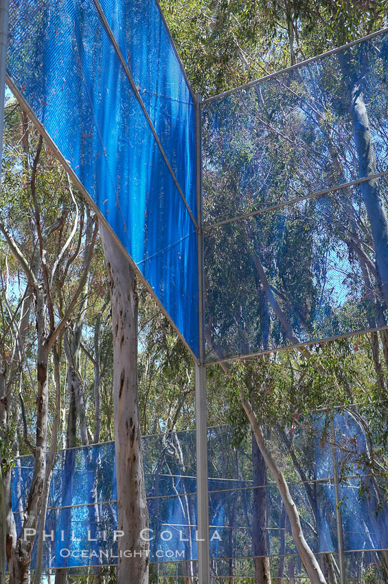 Giraffe Traps, UCSD, University of California San Diego, La Jolla