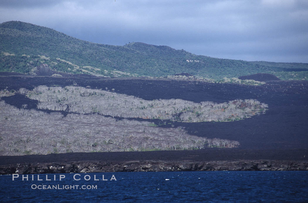 Isabela Island, Isabella Island, Galapagos Islands, Ecuador, #05574