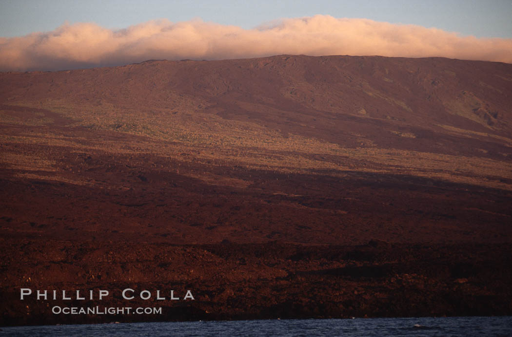 Isabella Island, Galapagos Islands, Ecuador, #05579