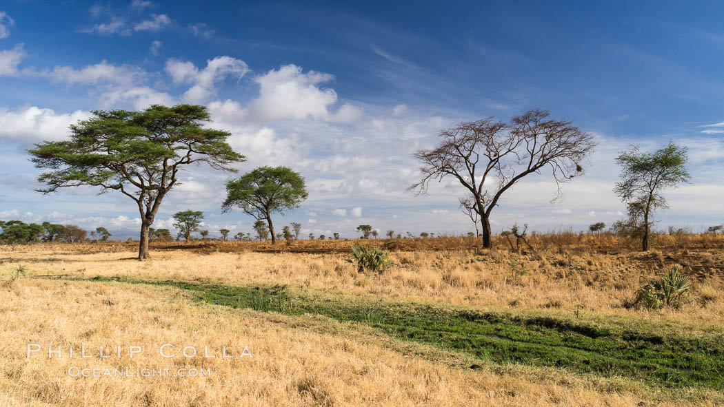 Meru National Park landscape, Kenya, #29700