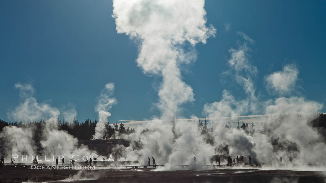 Steam rises at sunrise in Norris Geyser Basin, Yellowstone National ...