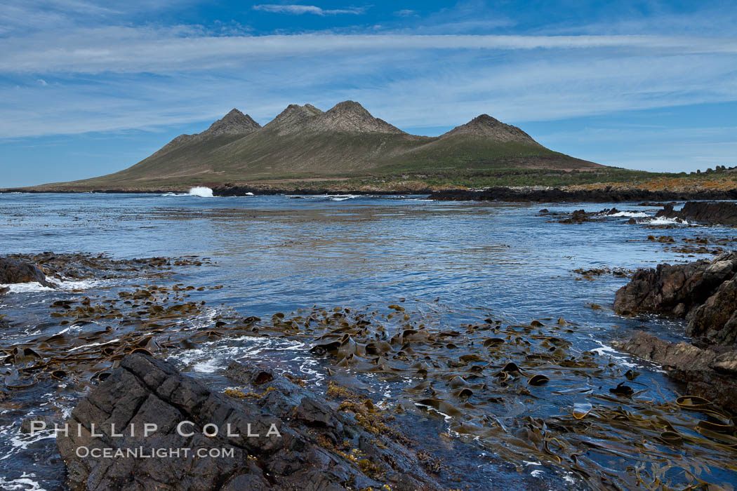 Northeastern coast of Steeple Jason Island, Falkland Islands, United ...