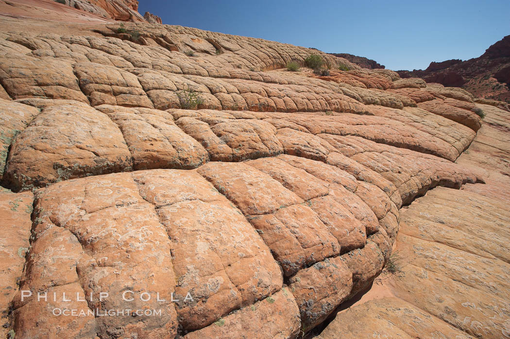 Sandstone joints, North Coyote Buttes, Paria Canyon-Vermilion Cliffs ...