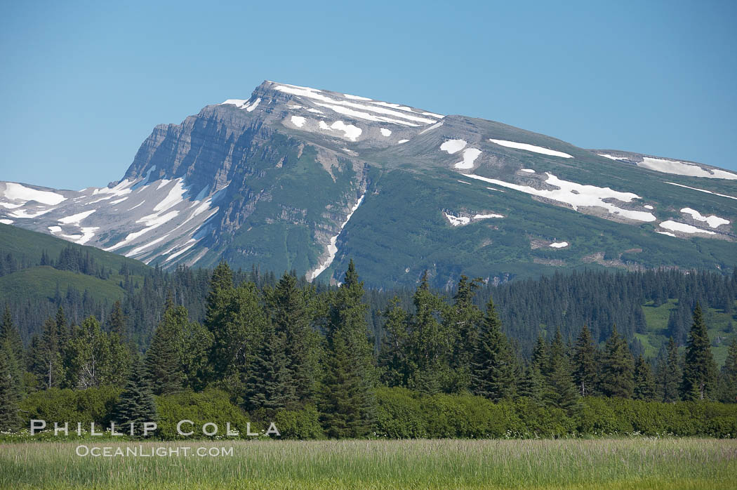 Sedge grass meadows, Lake Clark National Park, Alaska, #19061
