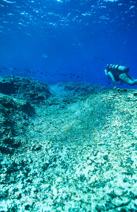 Shipwreck scarring on coral reef, Rose Atoll National Wildlife ...