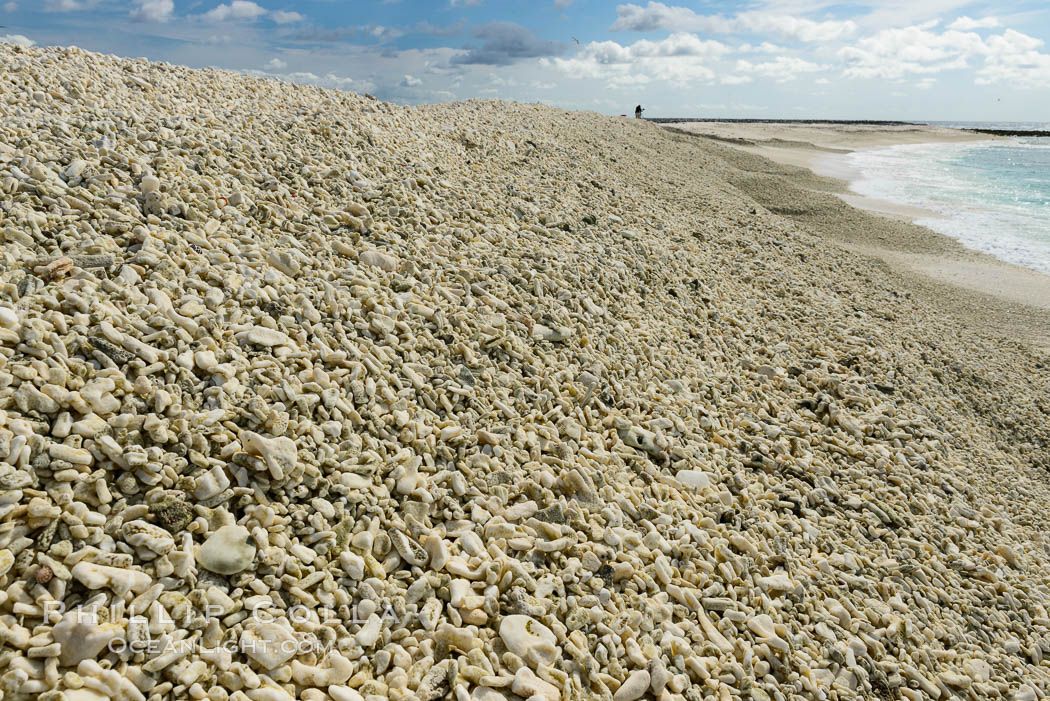 Steep Coral Rubble Shoreline, Clipperton Island, France, #33072