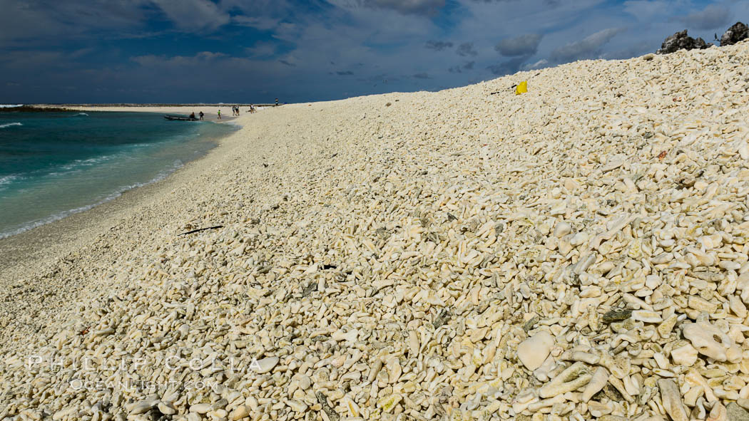Steep Coral Rubble Shoreline, Clipperton Island, France, #33073