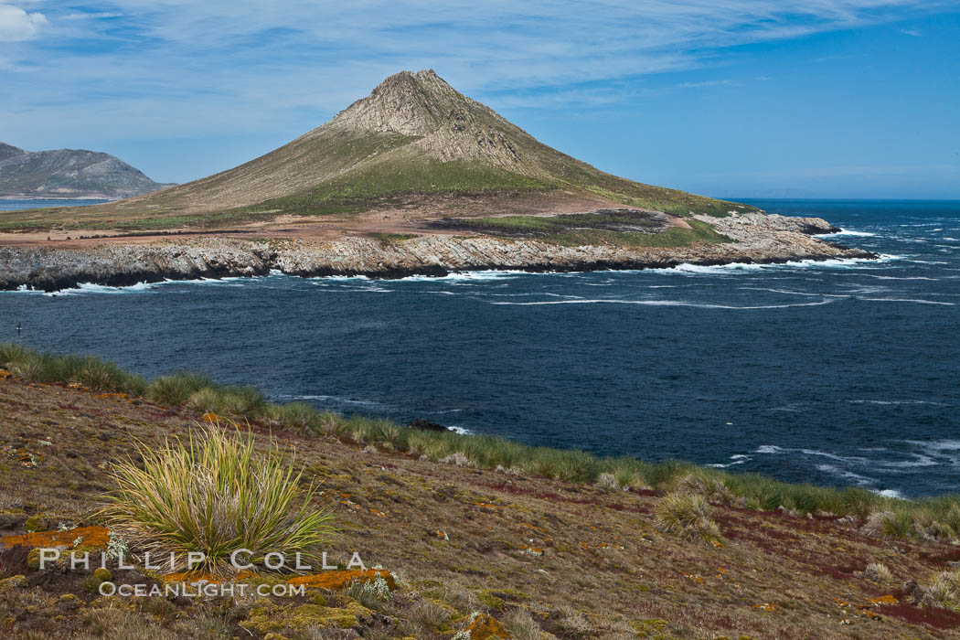 Steeple Jason Island, Falkland Islands, United Kingdom, #24102