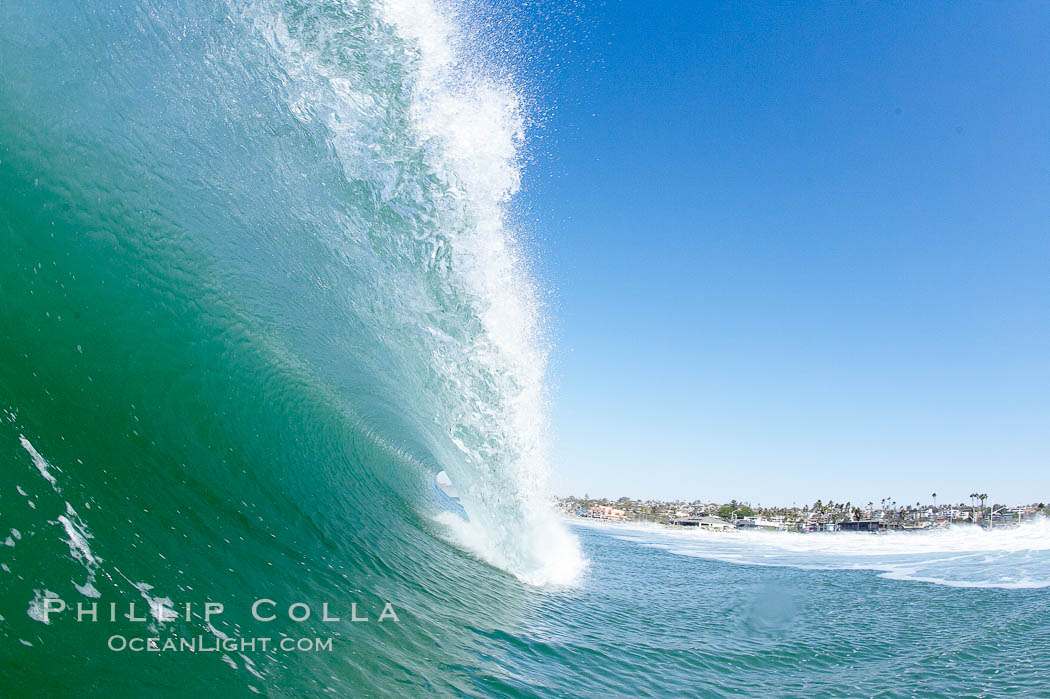 Cardiff Surf, #19546, Natural History Photography