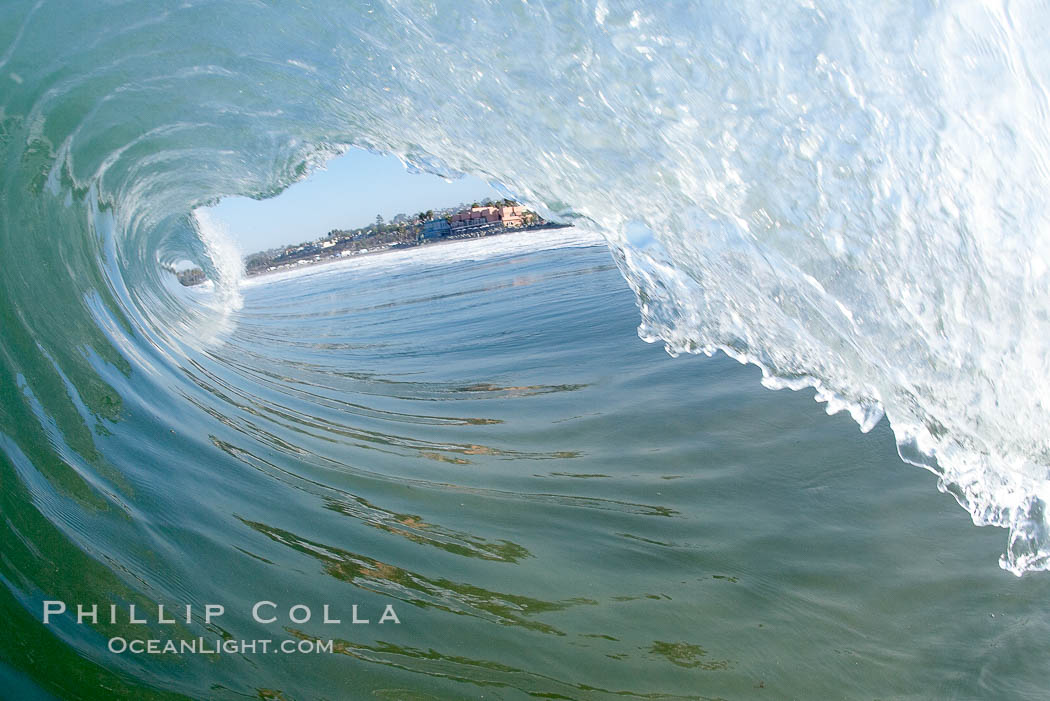 Cardiff Surf, #19550, Natural History Photography
