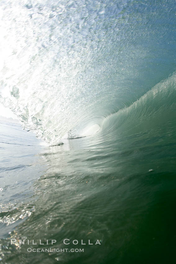 Cardiff Surf, #19554, Natural History Photography