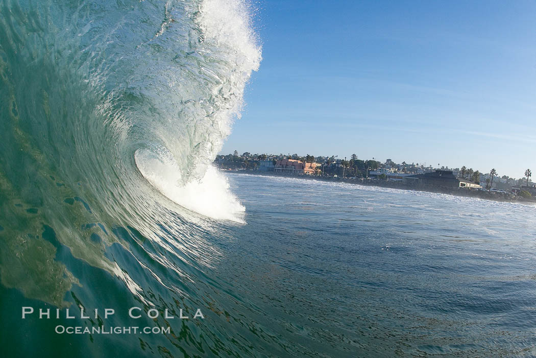 Cardiff Surf, #19560, Natural History Photography