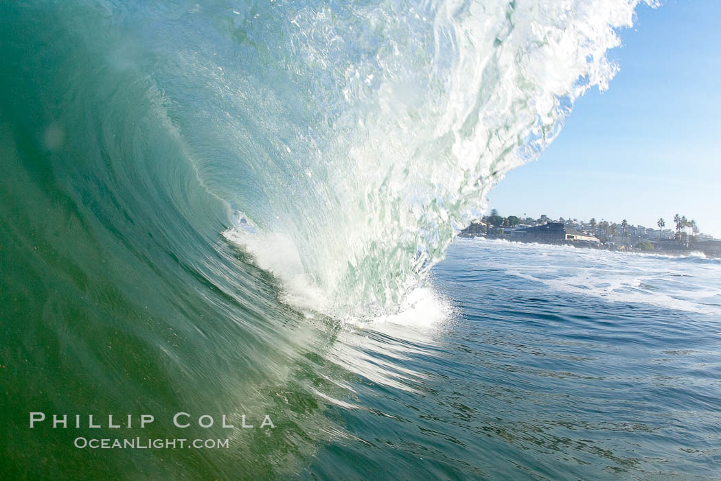 Cardiff Surf, #19547, Natural History Photography