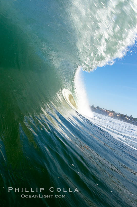 Cardiff Surf, #19563, Natural History Photography