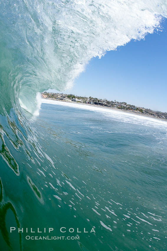 Cardiff Surf, #19557, Natural History Photography