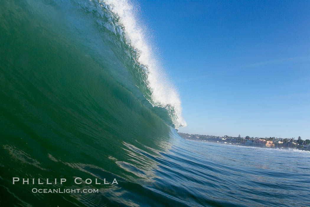Cardiff Surf, #19561, Natural History Photography