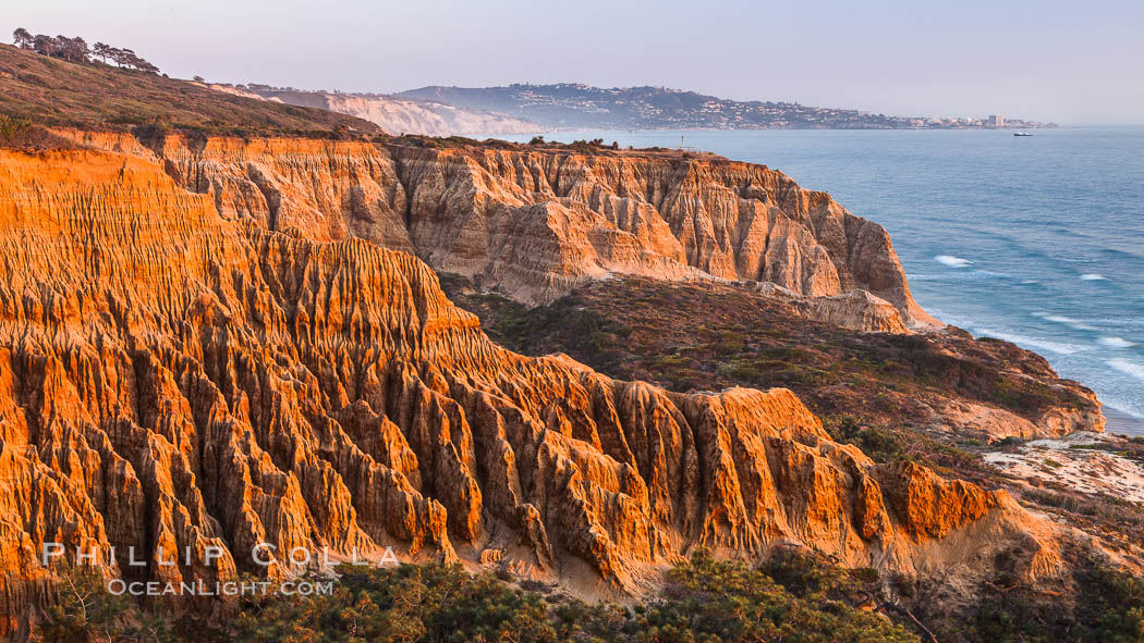 Torrey Pines Cliffs and Pacific Ocean, Torrey Pines State Reserve, San ...