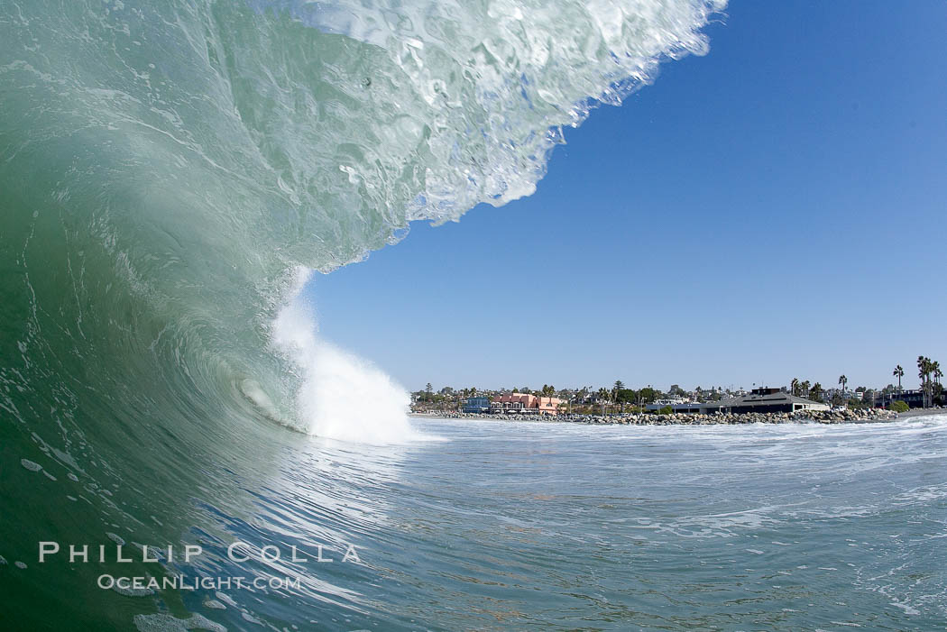 Cardiff Surf, #19536, Natural History Photography
