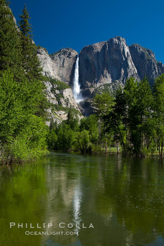 Yosemite Falls reflected in the Merced River, Yosemite National Park ...